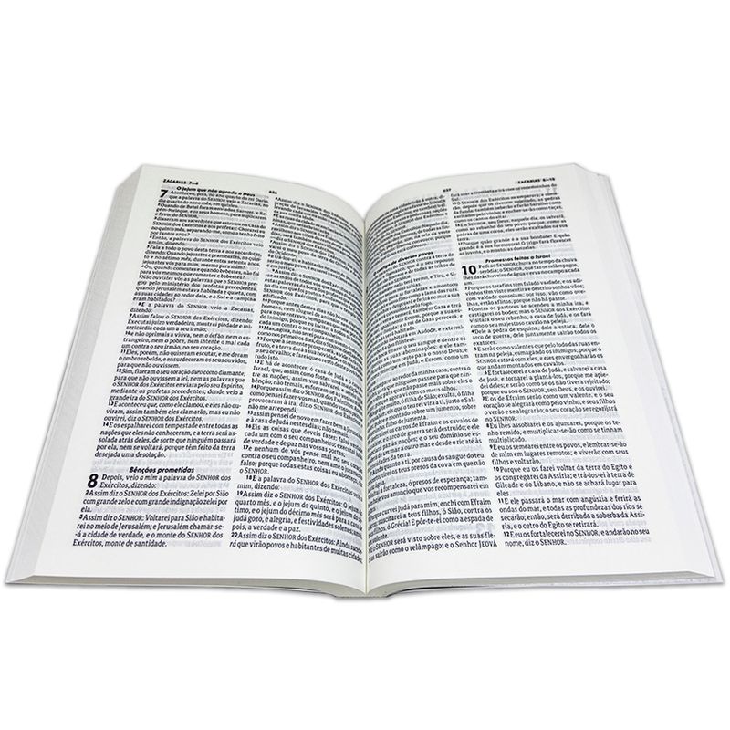 Bíblia Grande Harpa Cristã Slim Brochura Rebanho Bege - CPAD